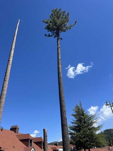 Demolition begins at Lake Arrowhead Village | News | mountain-news.com