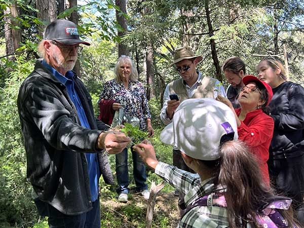 Foraging adventure with Bernie Kerkvliet | News | mountain-news.com