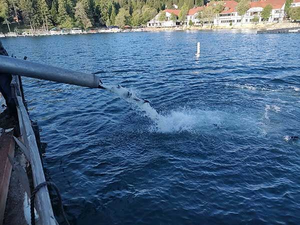 Arrowhead Lake Association Stocks 6,000 Pounds of Trout | News ...