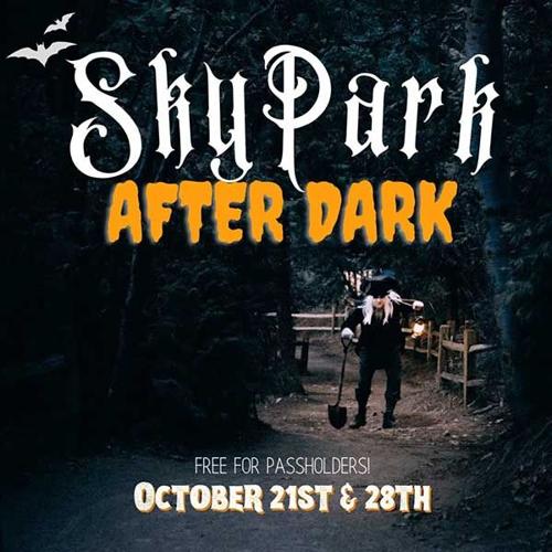 Explore the Fantom Forest at SkyPark | News | mountain-news.com