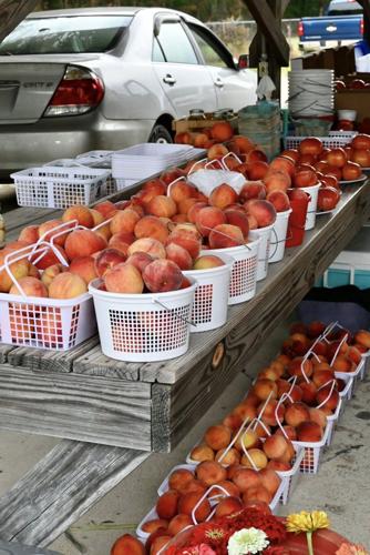 Farmers market brings a crowd on Sweet Grown Alabama Day | News ...
