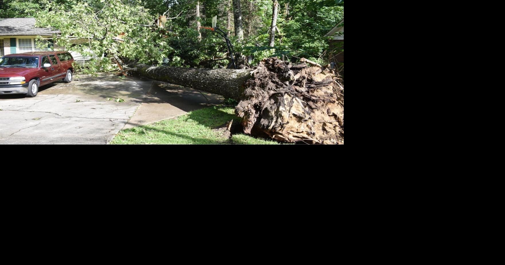 Straight-line winds wreak havoc in Walker County | News | mountaineagle.com