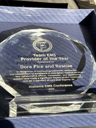 EMS Provider of the Year Award presented to Dora Fire and Rescue | News ...