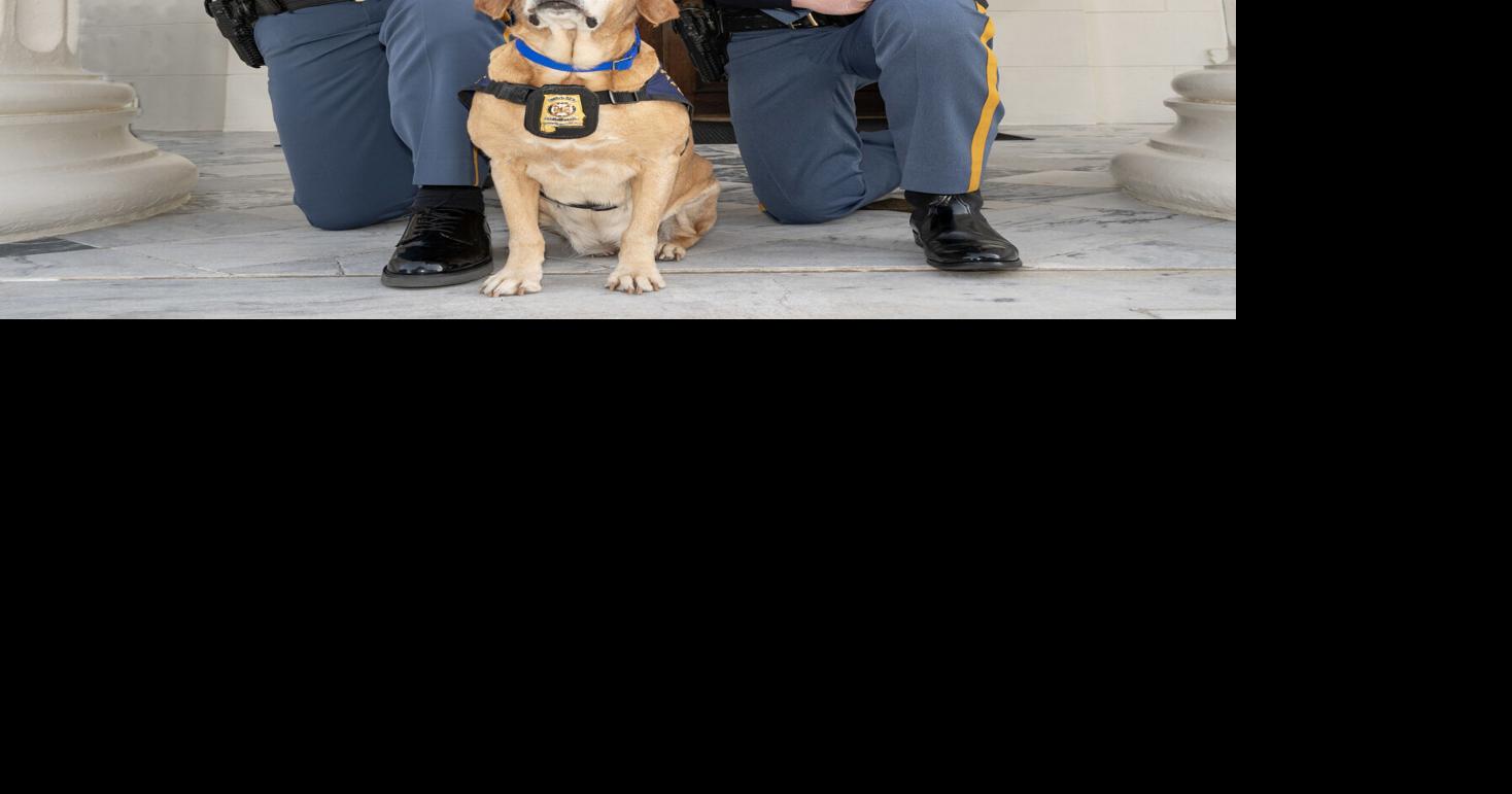 Millie, the Work Zone Safety Dog, named honorary ALEA trooper | News ...