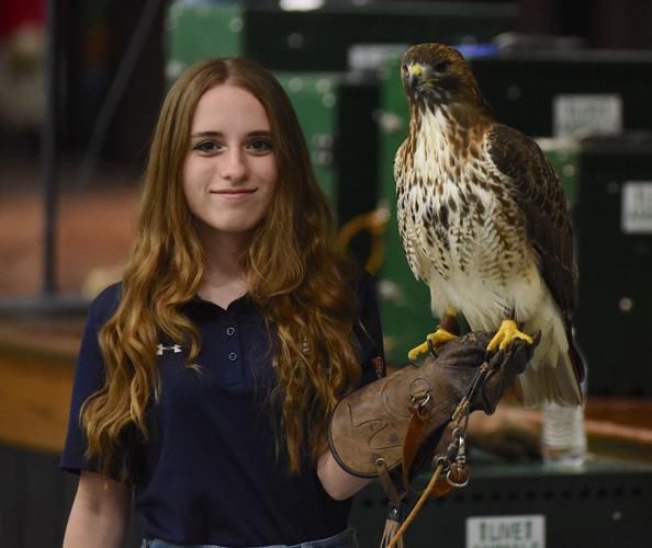 Auburn Raptor Center visits Maddox students | | mountaineagle.com
