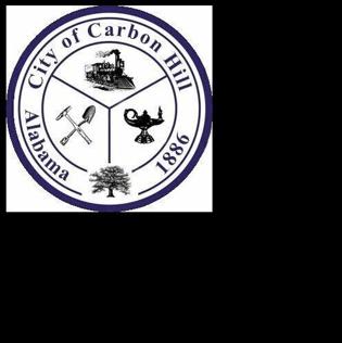 Carbon Hill looks at planning for ballfield work near Blue Gym | News ...