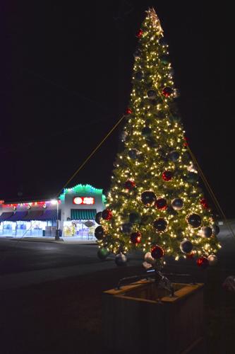 Cordova lights up Christmas trees near City Hall | News | mountaineagle.com