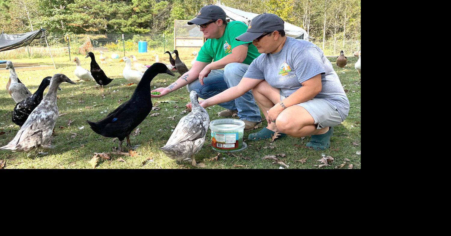 First-ever FARMily Day with Quacky Feet Farm set for July 22 in Nauvoo ...