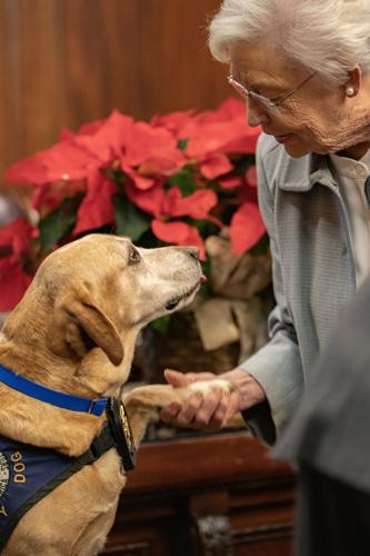 Millie, the Work Zone Safety Dog, named honorary ALEA trooper | News ...