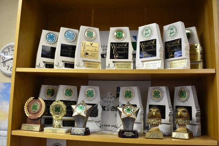 Cain: Great participation in county 4-H programs | News | mountaineagle.com