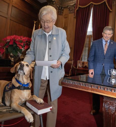 Millie, the Work Zone Safety Dog, named honorary ALEA trooper | News ...