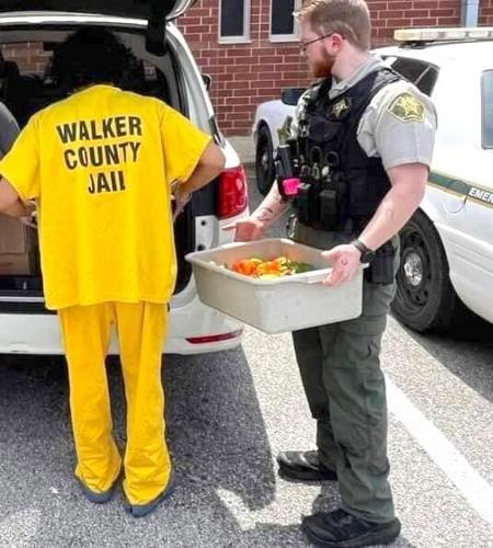 Sheriff's inmates growing food for their own meals | News ...
