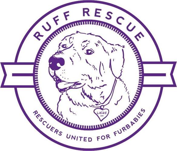 RUFF needs supplies, volunteers to complete new rescue facility | News ...
