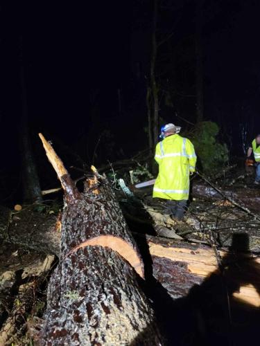 Storm impacts Tutwiler community | News | mountaineagle.com