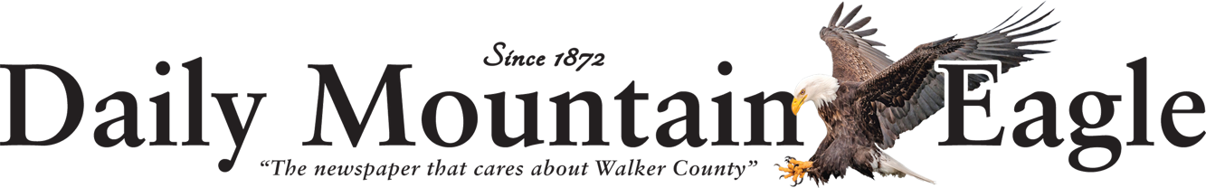 About Us | Site | mountaineagle.com