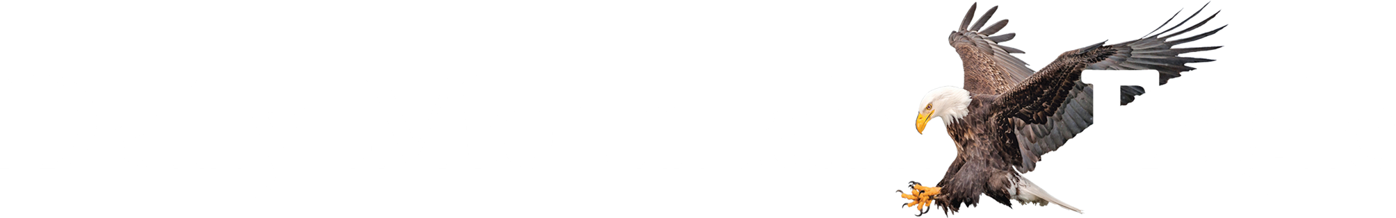 e-Edition | mountaineagle.com