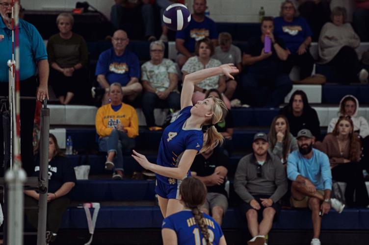Bears host Hounds in Dig Pink match | Sport | mtairynews.com