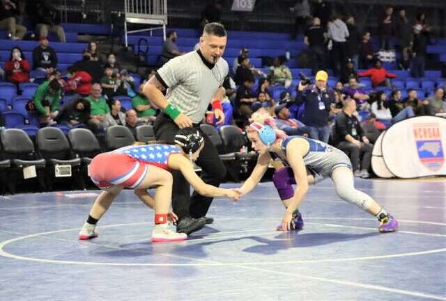 Hearl named Academic All-American | Sports | mtairynews.com