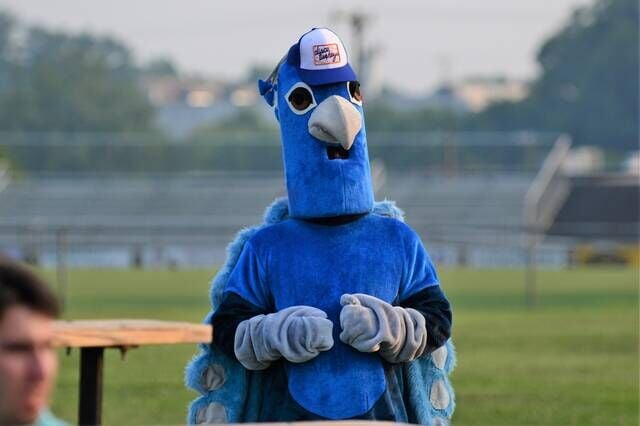 Post 123 hosting Disco Turkeys July 2 | Sports | mtairynews.com