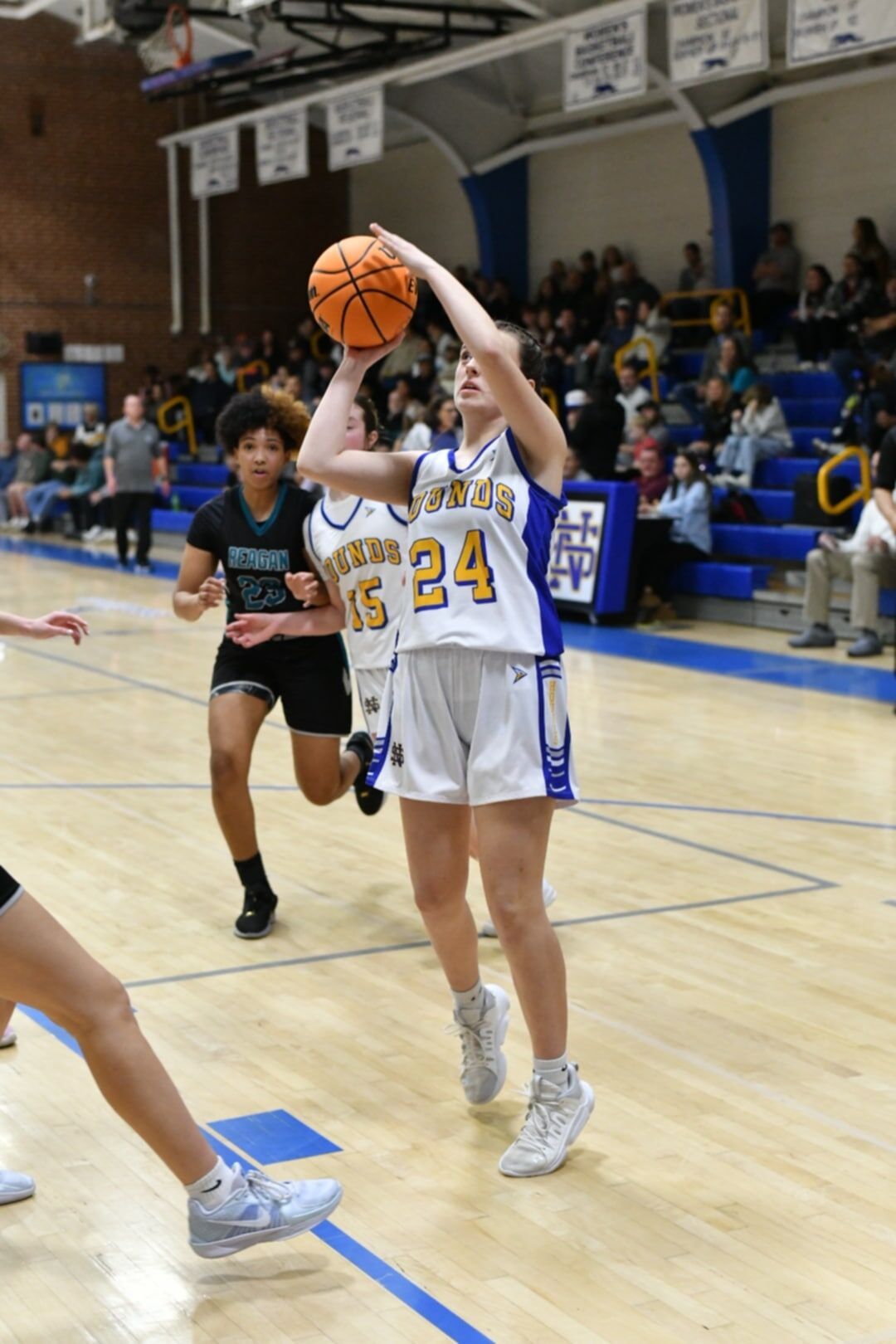 Greyhounds close 2024 with 8-game winning streak | Sports | mtairynews.com