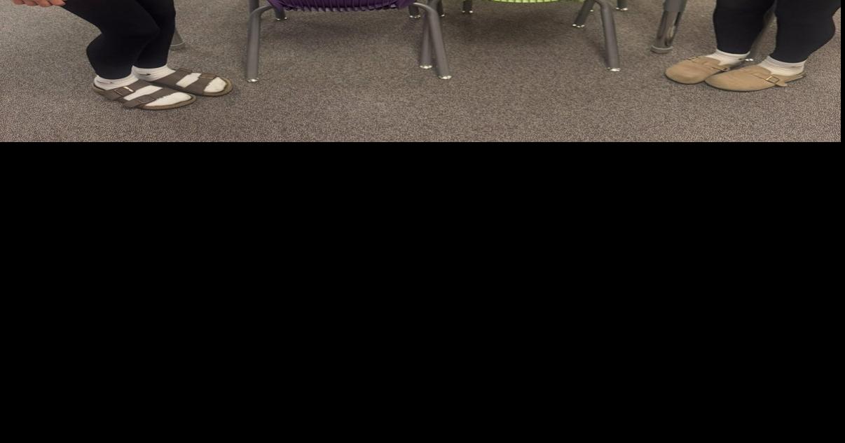 Gentry Middle names science fair winners | News | mtairynews.com