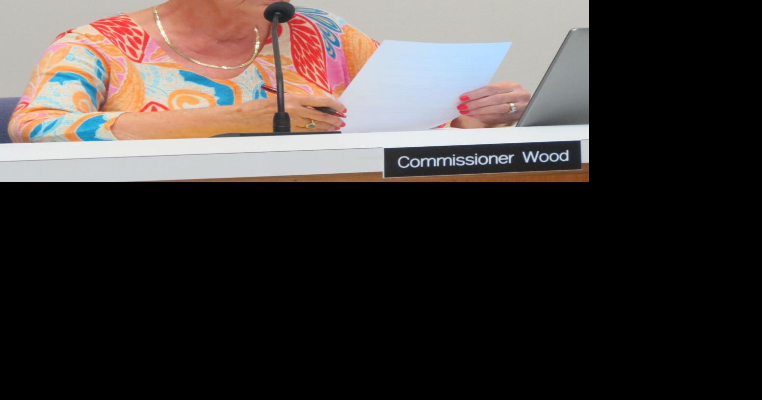 City officials urge peaceful election | News | mtairynews.com
