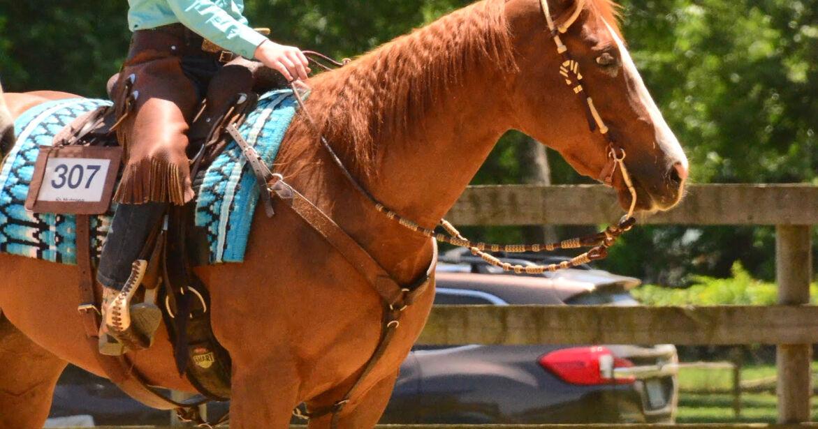 Three area youth do well in horse show competition | Lifestyles ...