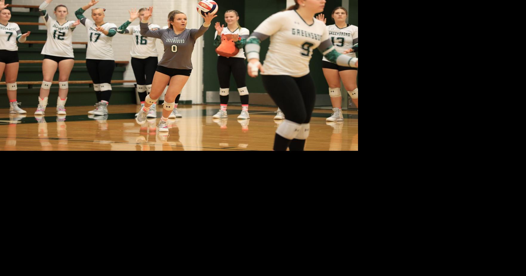 Mount Airy grad Morgan Mayfield named USA South Defensive Player of the ...