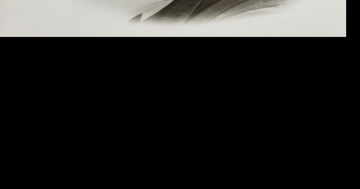 Pansy Chaney | | mtairynews.com