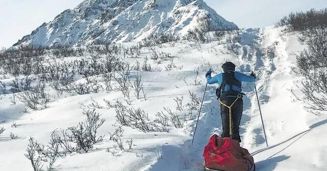 Mount Airy doctor Jan Kriska comes up short in Alaskan Iditarod race ...