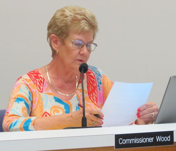 'Unsafe' building concerns councilwoman | | mtairynews.com