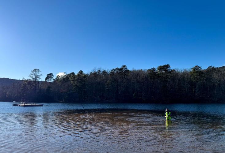 'Stokes County baptism': Arts Council hosts 11th Annual Polar Plunge at ...