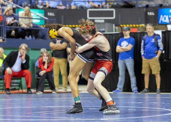 East's Fischer finishes sixth at wrestling championship | Sports ...