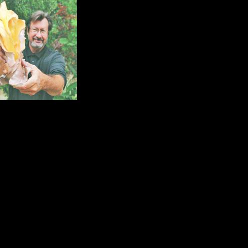 Poem of the Month: 'Barley Making It' | Prospecting | mtdemocrat.com