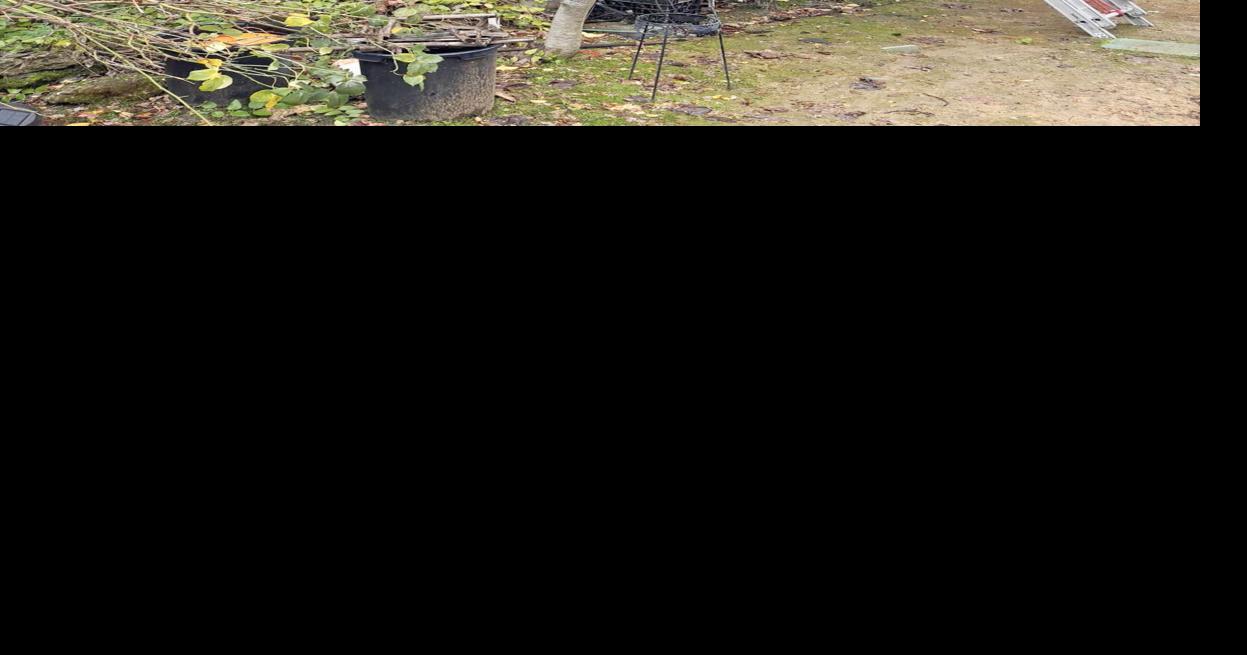 EDH woman saved from house fire | News | mtdemocrat.com