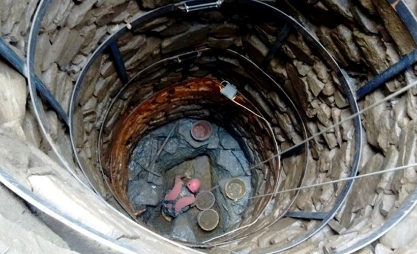 DNA from 2,000-year-old grape seeds reveals origins of modern wine ...