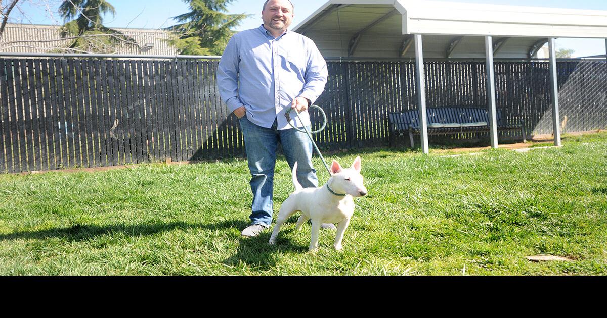 Craig Hall takes the reins for county animal services | Pets ...