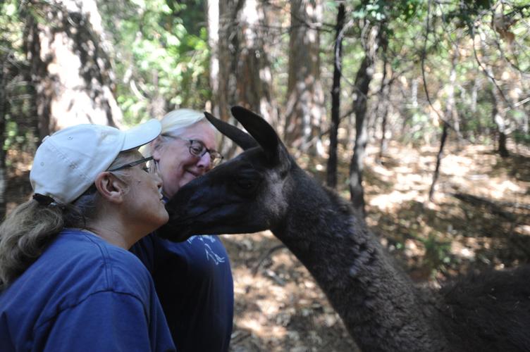 Kids get hands-on with nature at Hands and Hoofs | Prospecting ...