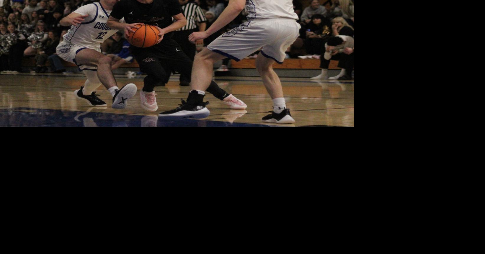 Boys basketball roundup: D'backs strike twice in playoffs | Sports ...