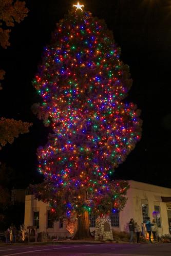 Magic’s in the air | News | mtdemocrat.com