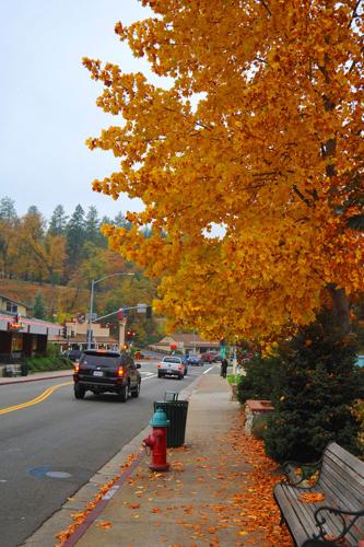 Fall color in Placerville | Photo Galleries | mtdemocrat.com
