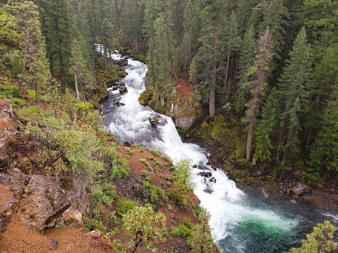 Day Hiker – McCloud River Falls Trail | Prospecting | mtdemocrat.com
