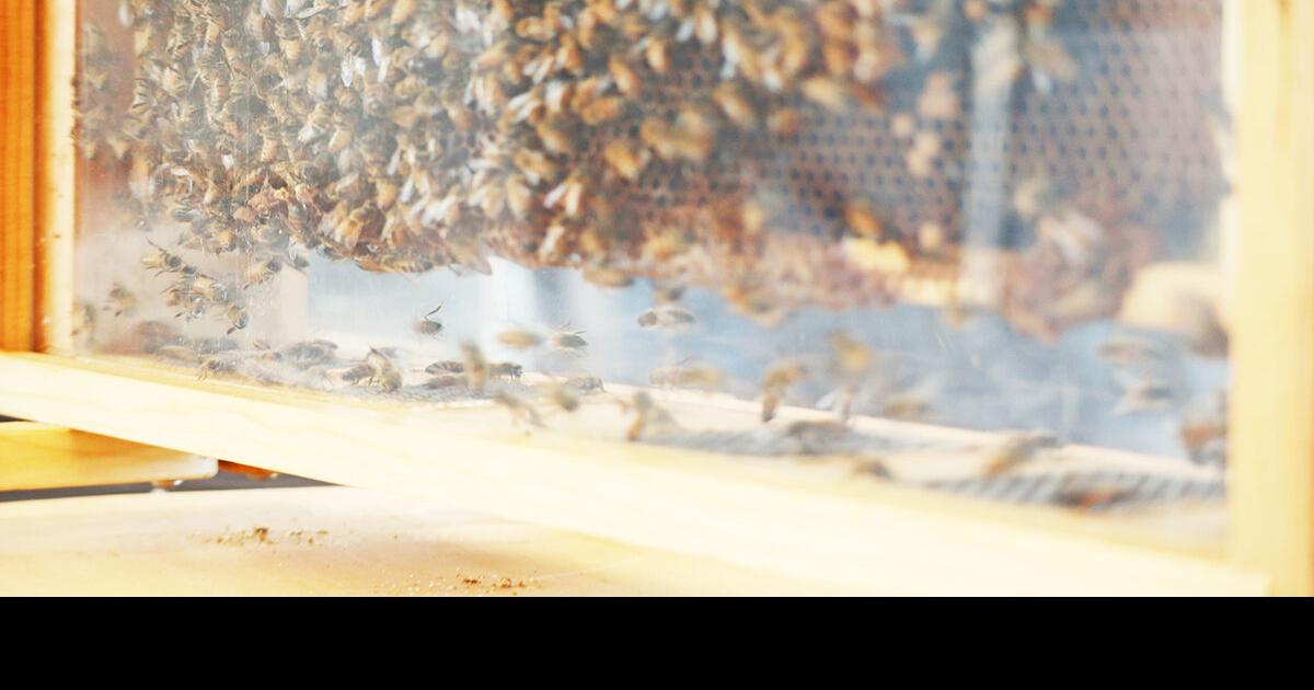 Museums offer must-see and must-do experiences | Prospecting ...