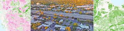 Interactive mapping tool helps visualize urban tree canopy | News ...