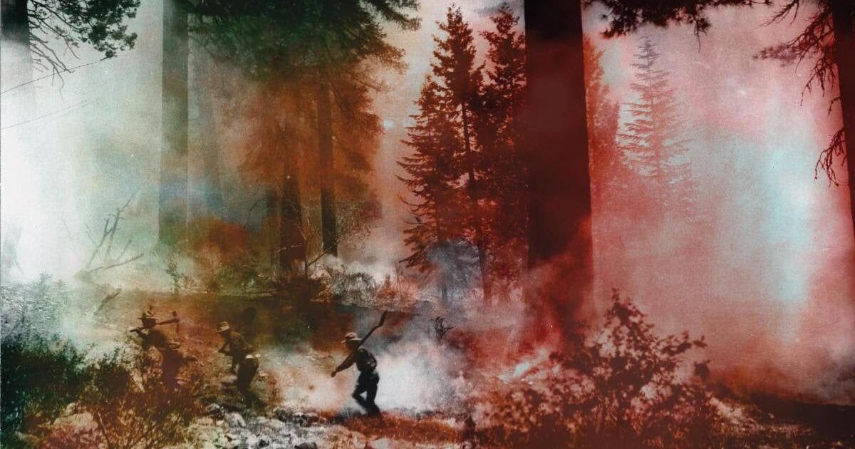 FIRE/LAND: The Exhibition opens at Switchboard | Prospecting ...