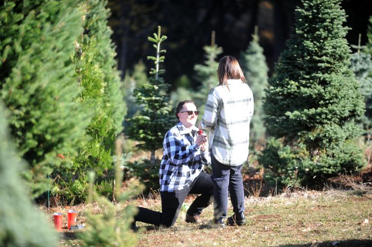 Christmas tree cutting tradition a memory maker | El Dorado County ...