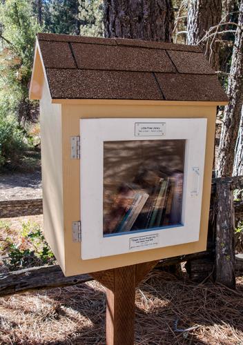 Love of reading inspires Eagle Scout project | Prospecting | mtdemocrat.com