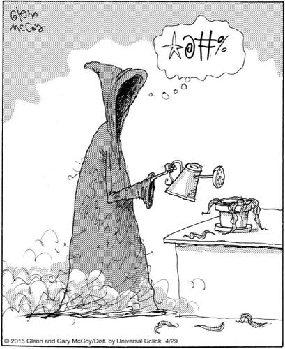 Flying McCoys | News | mtdemocrat.com