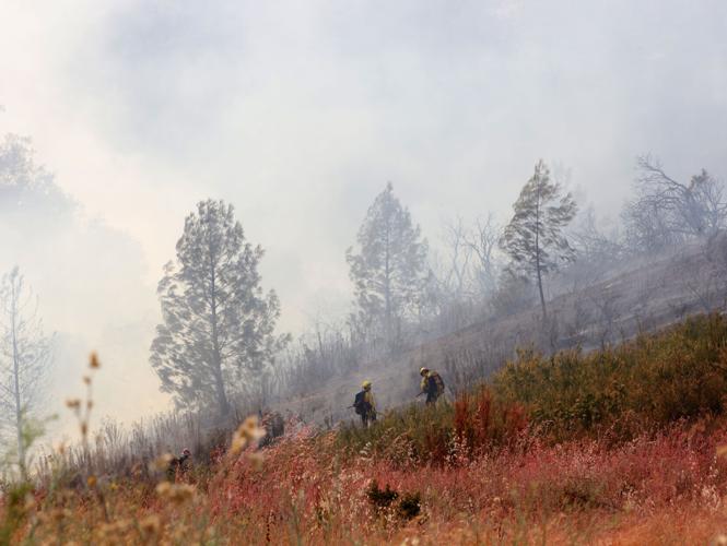 Bonanza Fire scorches 181 acres | News | mtdemocrat.com