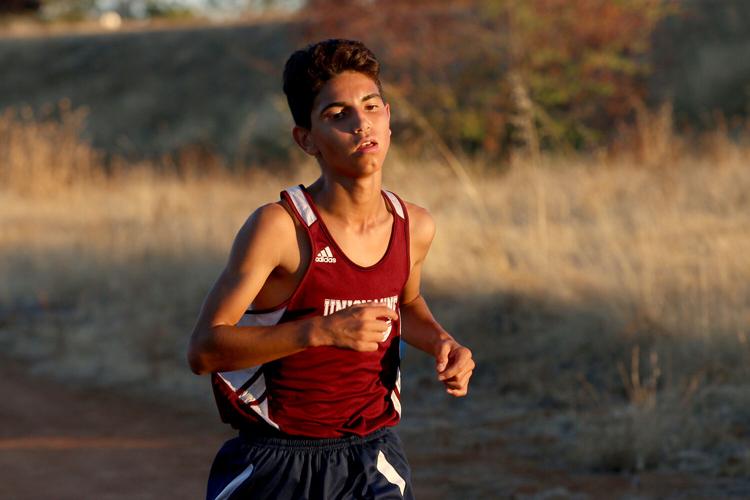 Harriers advance to state cross country meet | Sports | mtdemocrat.com